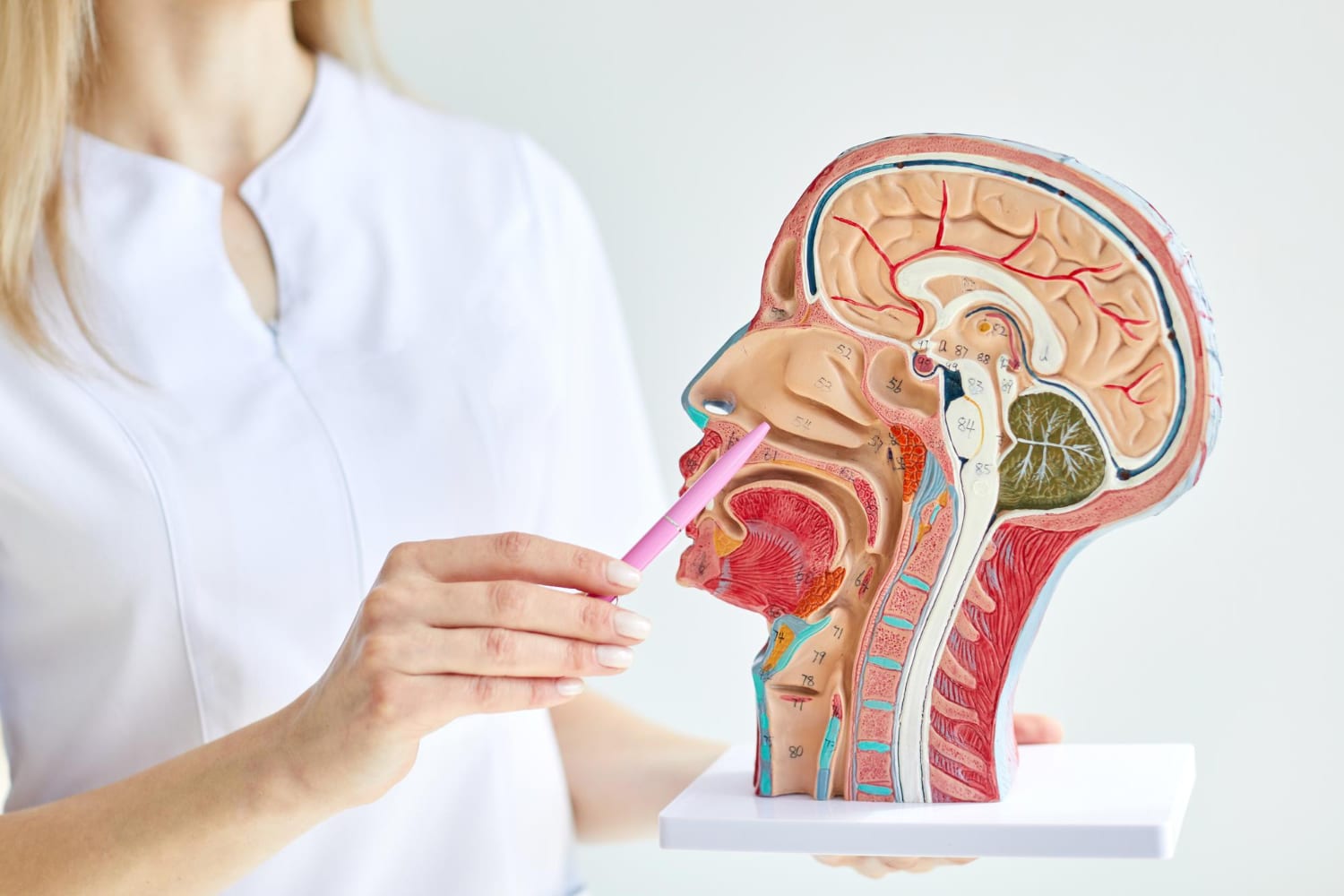 Améliorer l’accompagnement paramédical pour les patientes atteints de ...